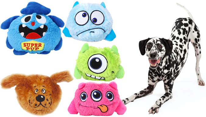 Discount Experts Pet Accessories